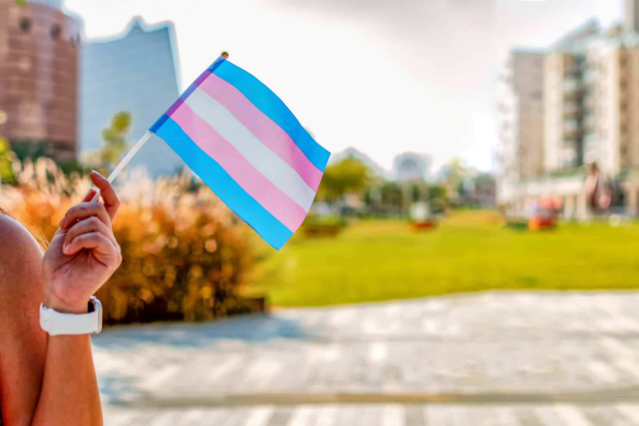 Trans and non-binary student experiences in UK higher education - HEPI